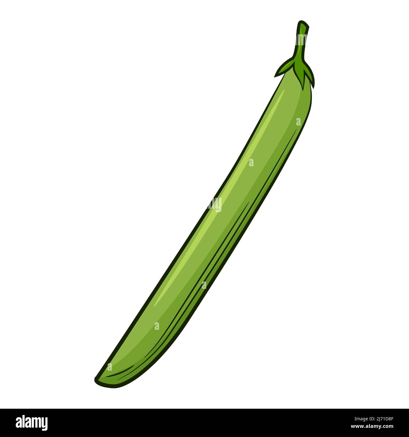 Bean Pod. A vegetable in a linear style, drawn by hand. Food ingredient ...