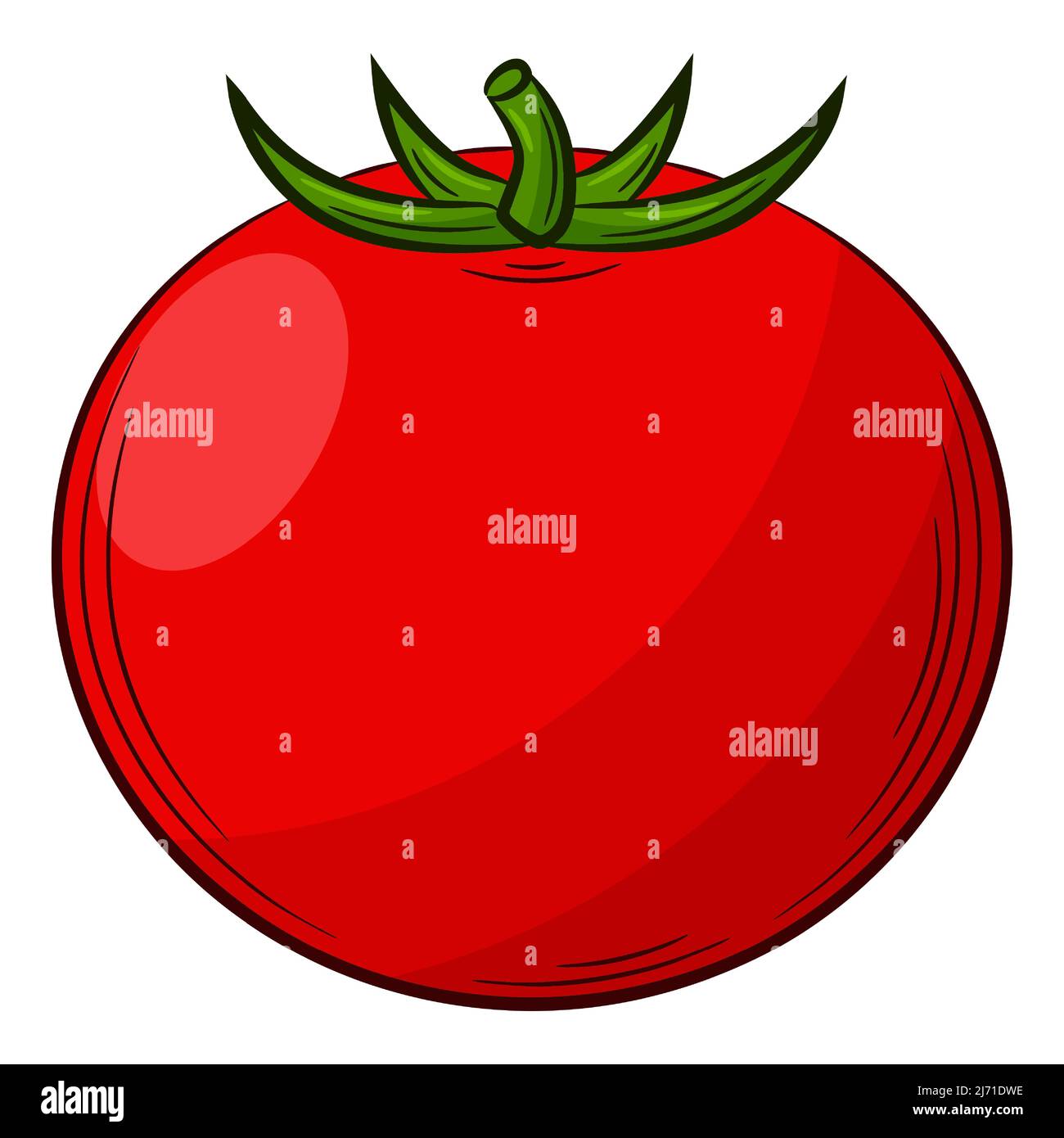 Tomato. A vegetable in a linear style, drawn by hand. Food ingredient ...