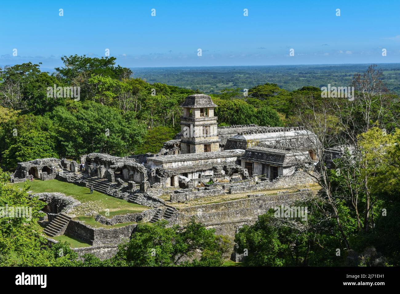 The ancient Mayan complex in Palenque, Mexico Stock Photo - Alamy