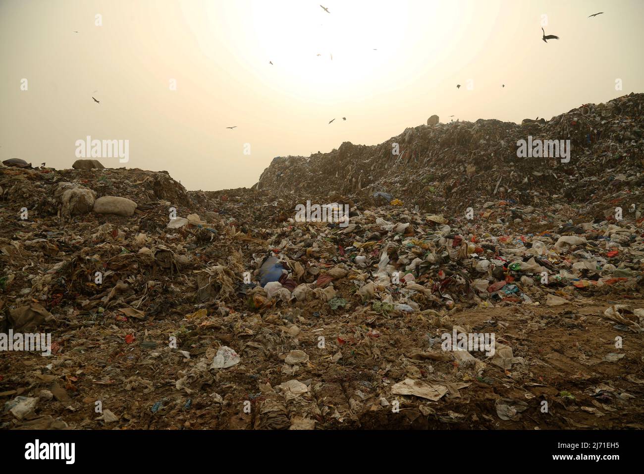 India land fill hi-res stock photography and images - Alamy