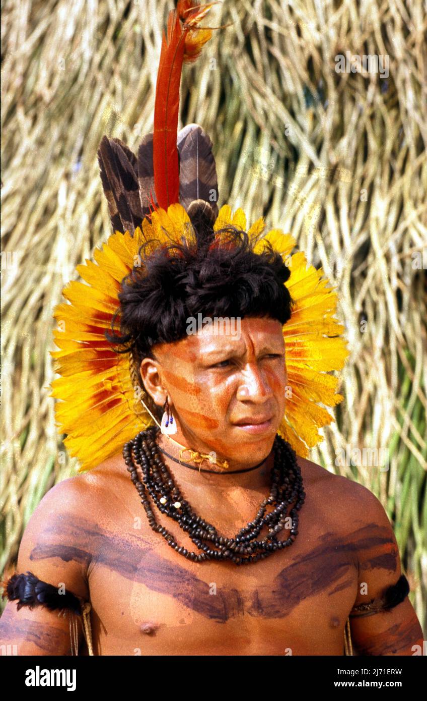 Indian man, head of an Amazon indigenous tribe at Baixo Amazonas, Pará ...