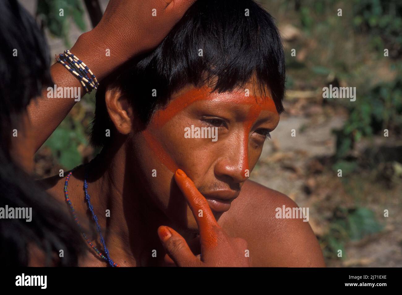 Young indian warrior from a Brazilian Amazon tribe, wearing tribal face ...
