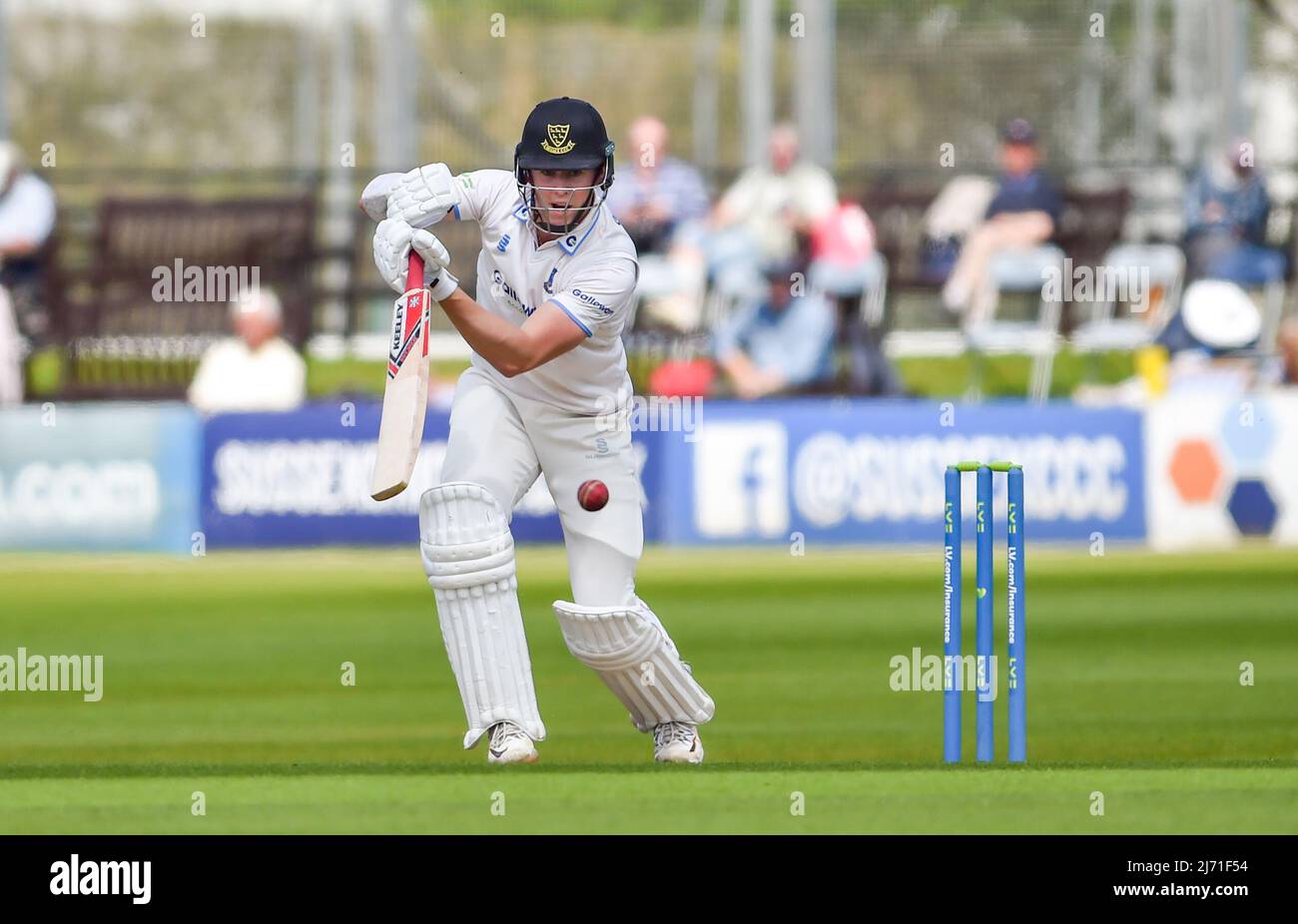 Ali orr sussex hi-res stock photography and images - Alamy