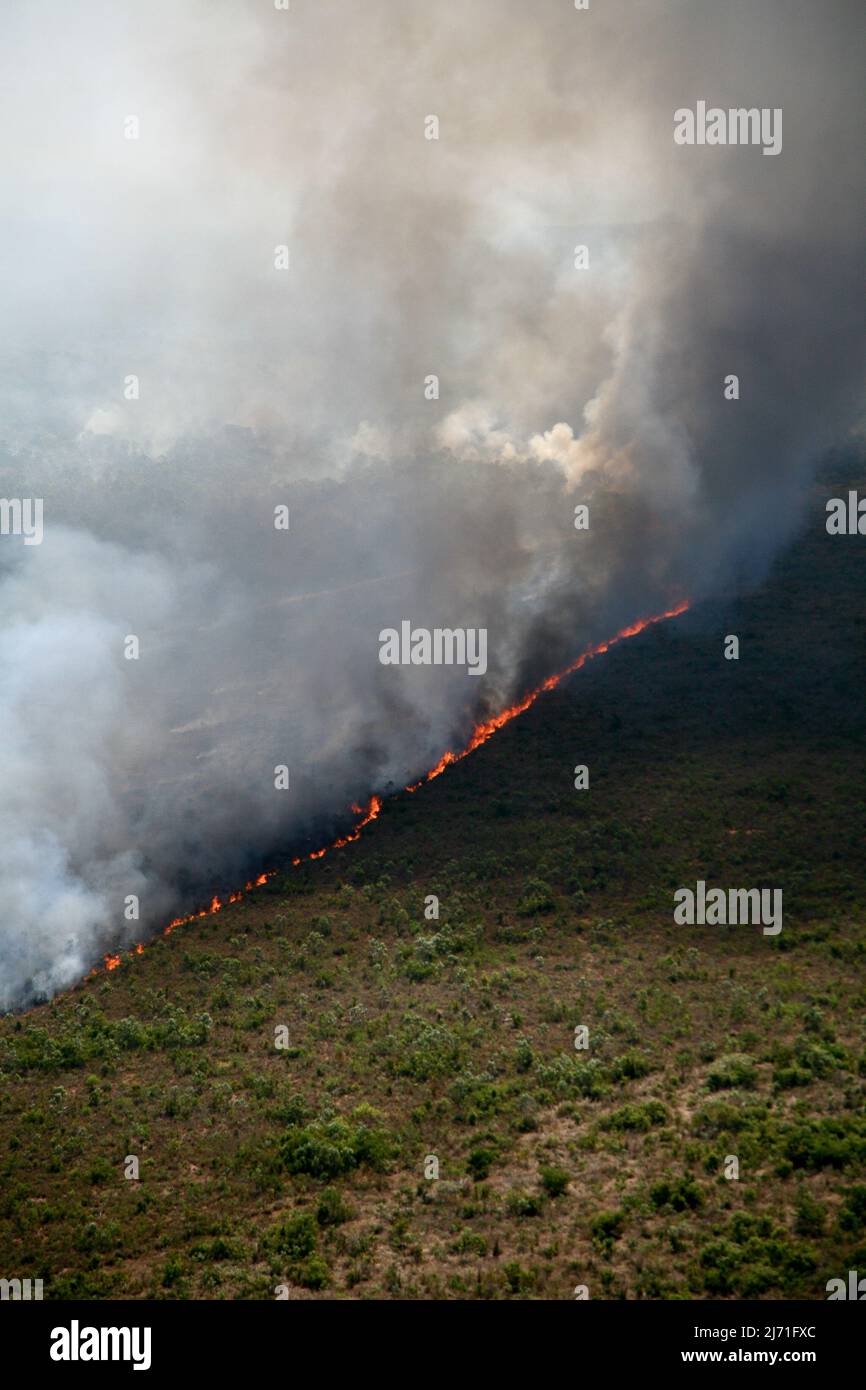 Amazon rainforest fire hi-res stock photography and images - Alamy