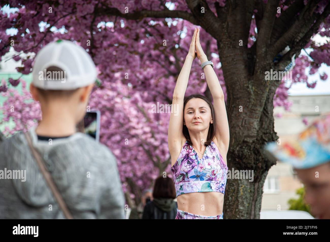 A woman poses for a photo next to Sakura trees blooming in downtown ...