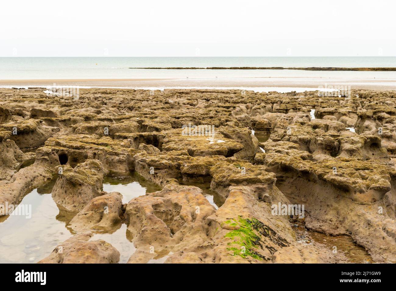 Rock pool fishing on beach hi-res stock photography and images - Alamy