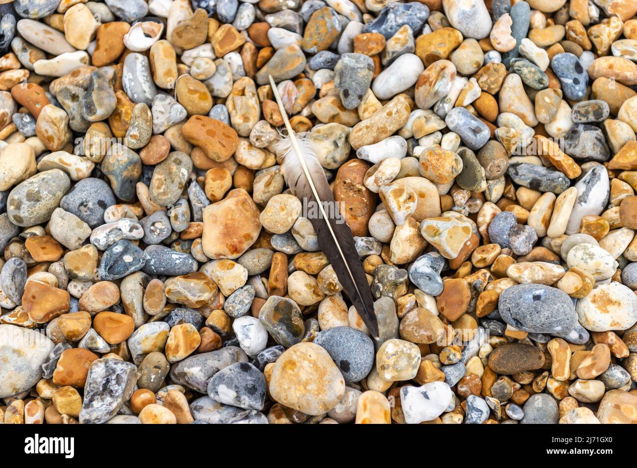 Coloured Pebbles and a Feather on the Beach at Bexhill-on-Sea, East ...