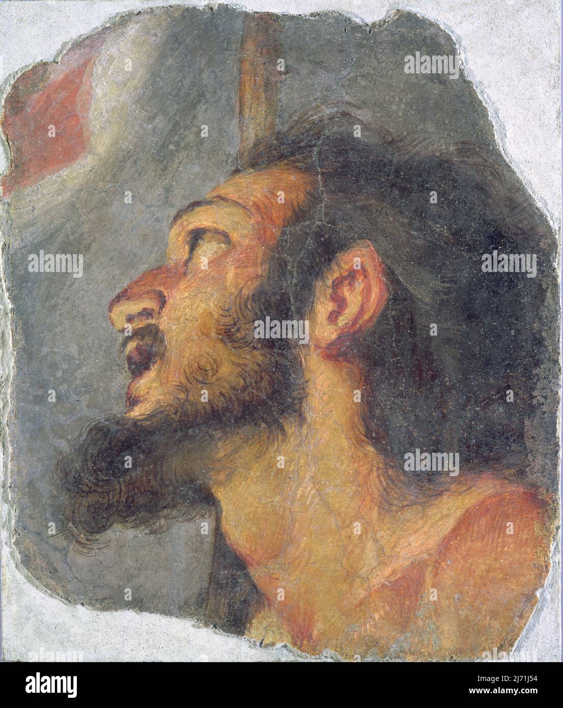 Queen Tomyris with the head of Cyrus the Great by Ferrari, Luca (1605 ...