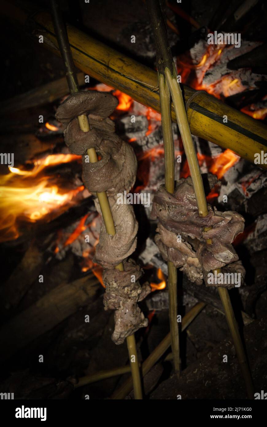 Bushmeat hunting hi-res stock photography and images - Alamy