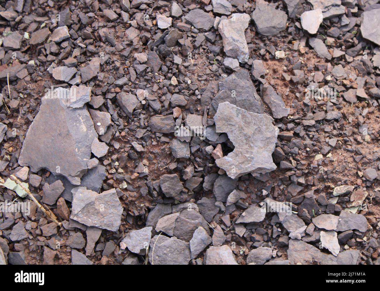 Variety of natural hi-res stock photography and images - Alamy