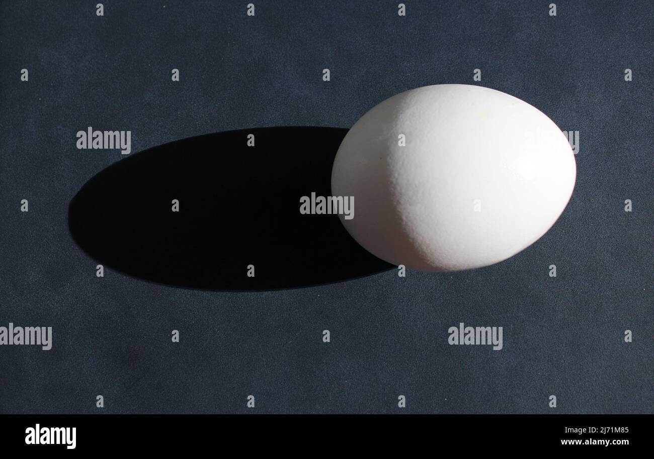 Unfertilized egg hi-res stock photography and images - Alamy