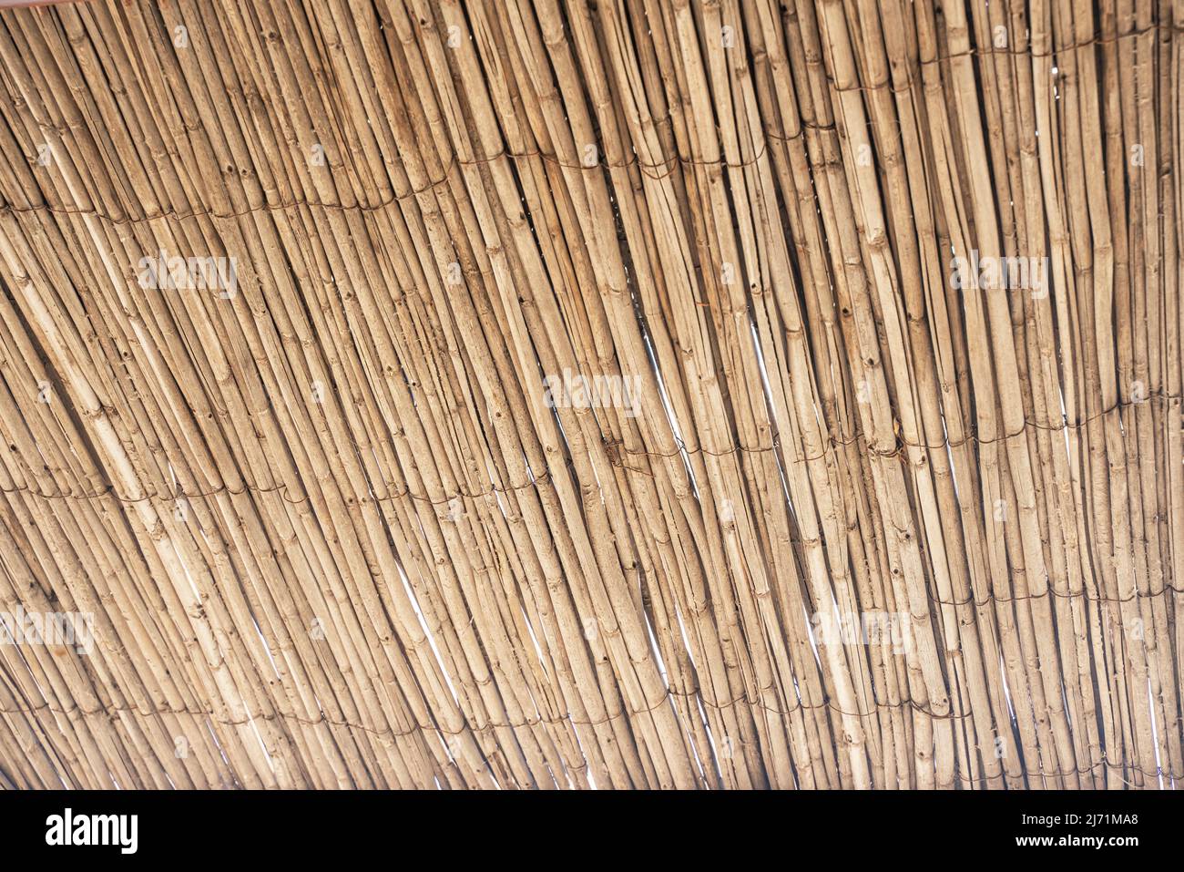 Reed background, bottom view of dry reed roof Stock Photo - Alamy