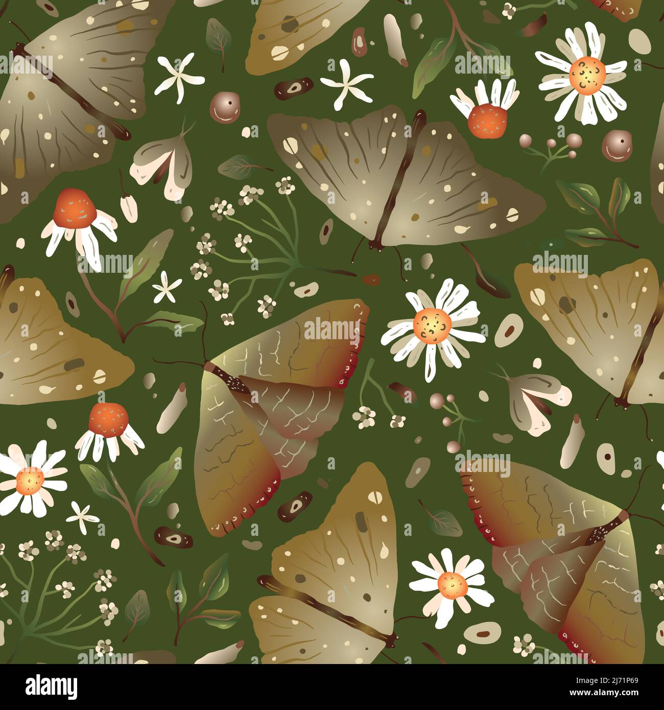 Moth at plant Stock Vector Images - Alamy