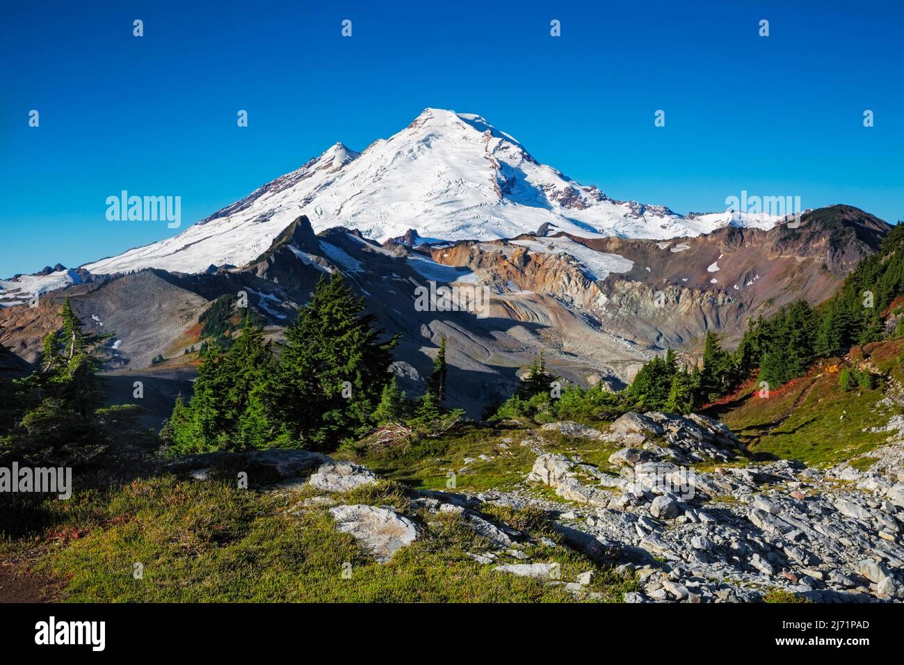 WA21491-00...WASHINGTON - Mount Baker viewed from Table Mountain in the ...