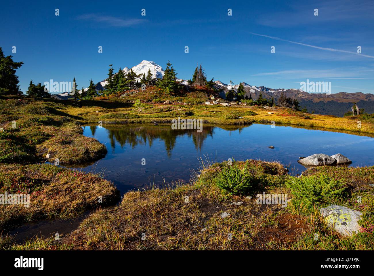 WA21499-00...WASHINGTON - Small tarn on Table Mountain and Mount Baker ...