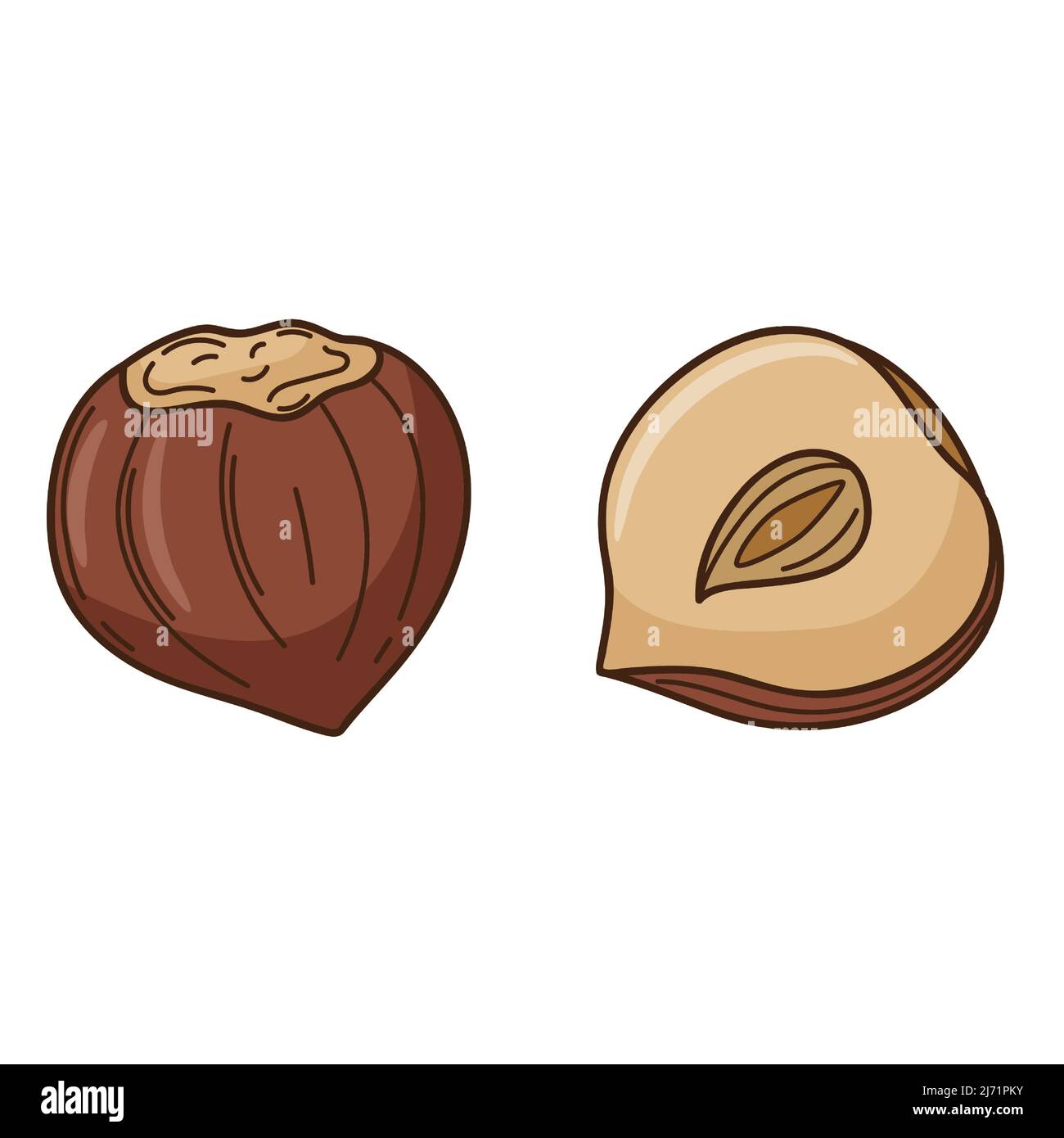 Hazelnut in the shell. A whole nut and a half. A symbol of autumn ...