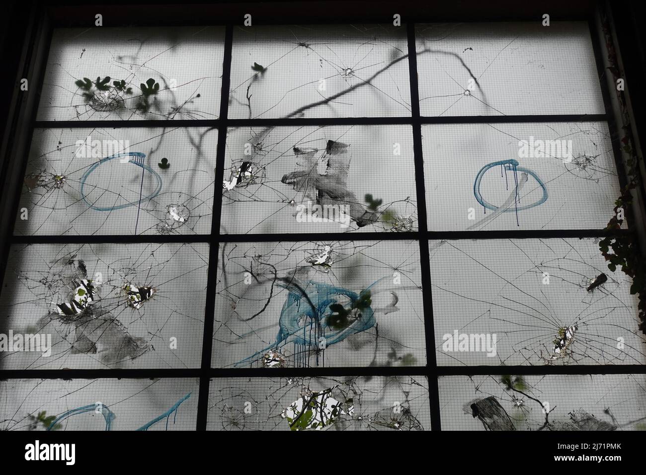 Tree branches behind smashed window panel in abandoned interior. Broken ...
