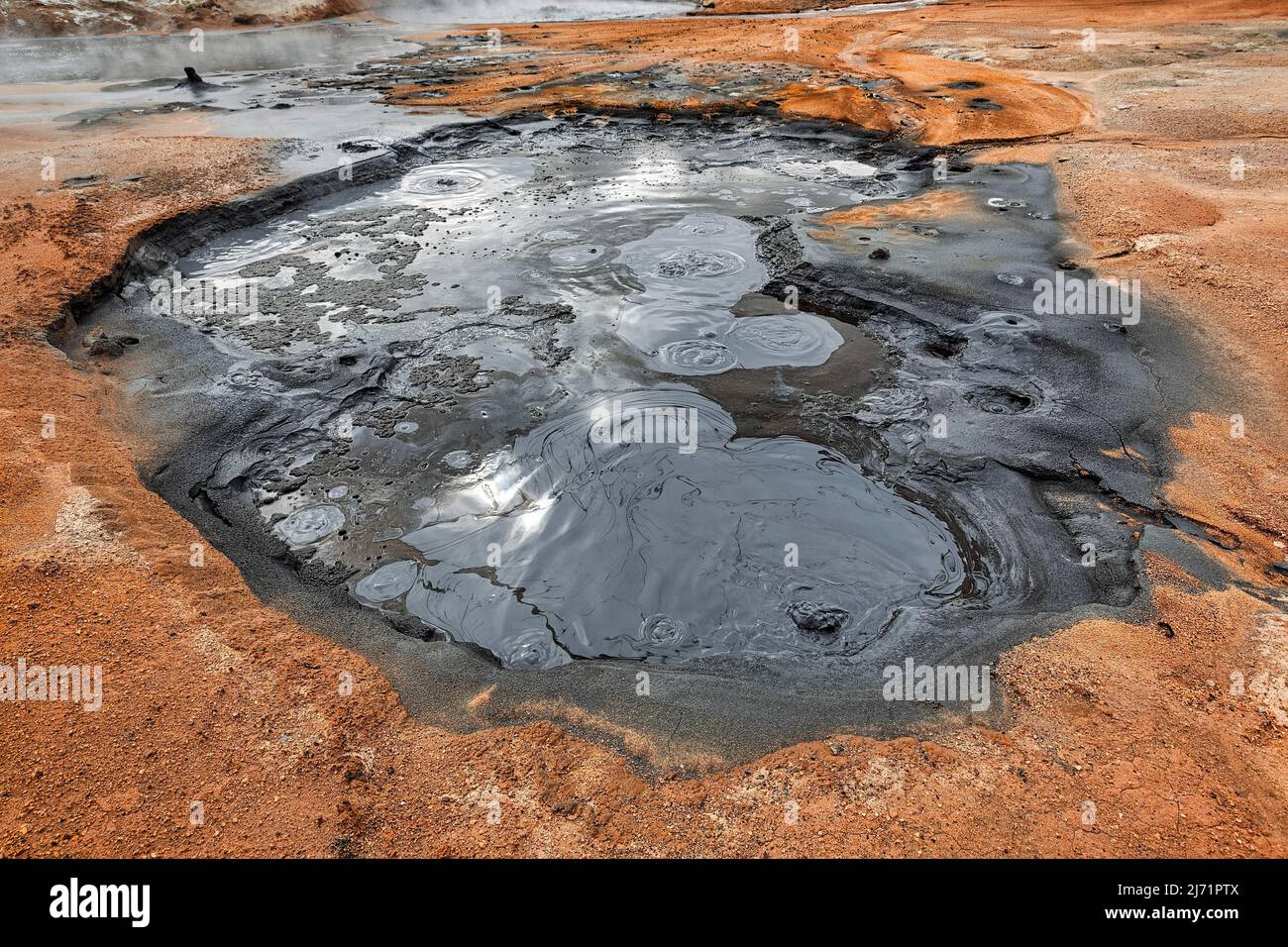 Bubbling mud pot, steaming fumaroles, Hveraroend geothermal area, also ...
