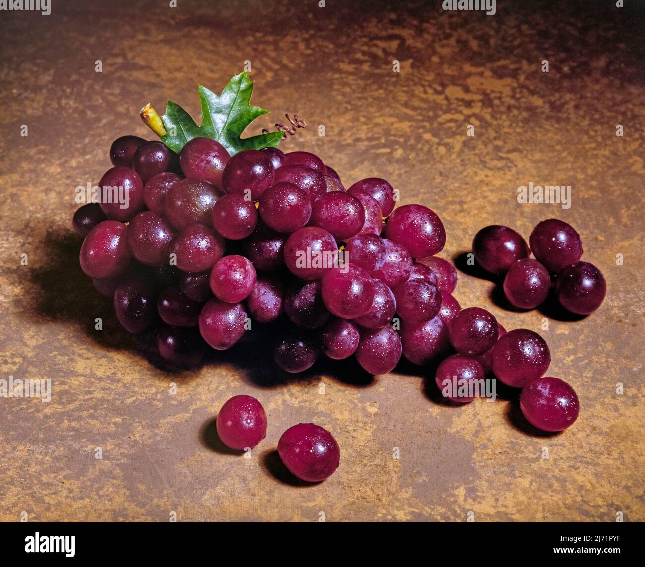 Round grapes on a vine hi-res stock photography and images - Alamy