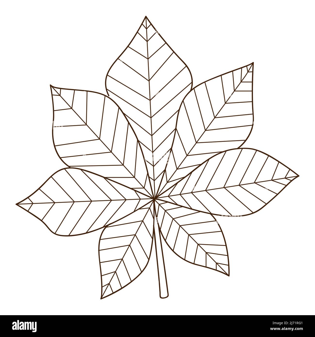 Plant leaf white linear Stock Vector Images - Alamy