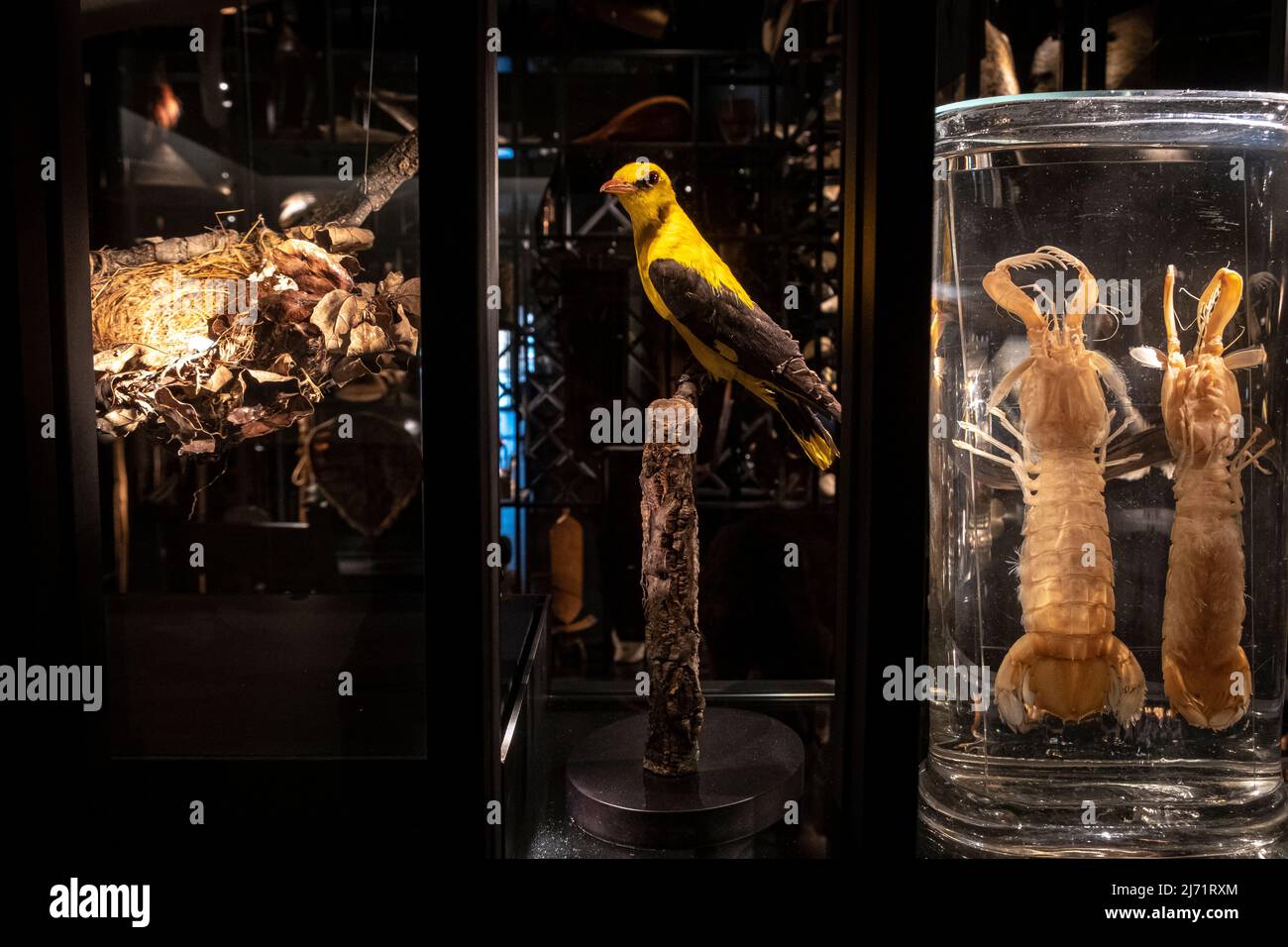 Formosinho museum hi-res stock photography and images - Alamy