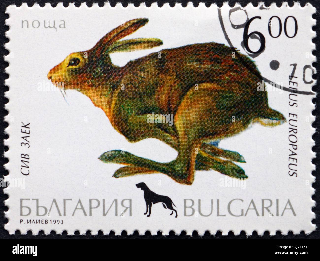 BULGARIA - CIRCA 1993: a stamp printed in the Bulgaria shows European ...