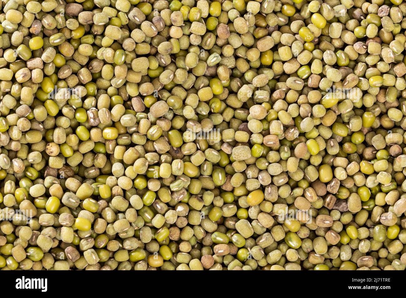Vigna Radiata - Raw organic green mung beans Stock Photo - Alamy