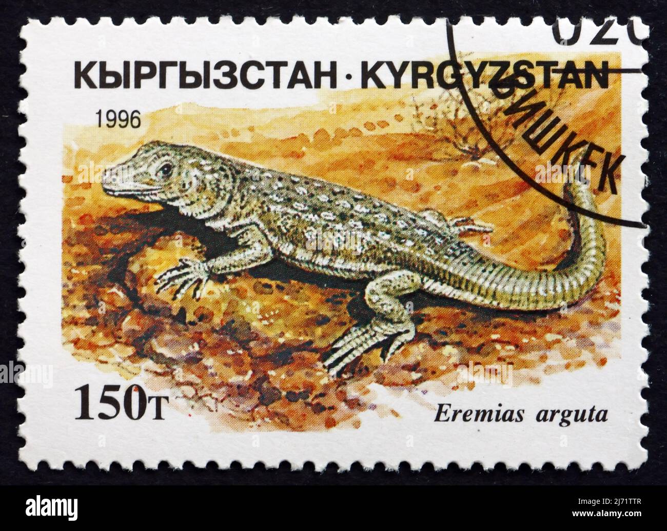 KYRGYZSTAN - CIRCA 1996: a stamp printed in the Kyrgyzstan shows Steppe ...