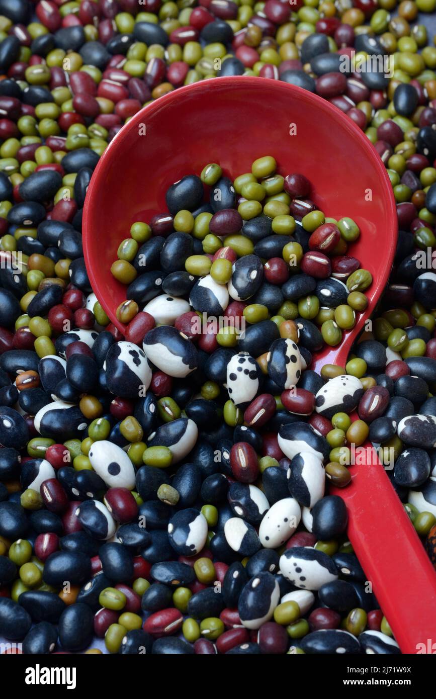 Various dried beans with ladle, dried beans Stock Photo - Alamy