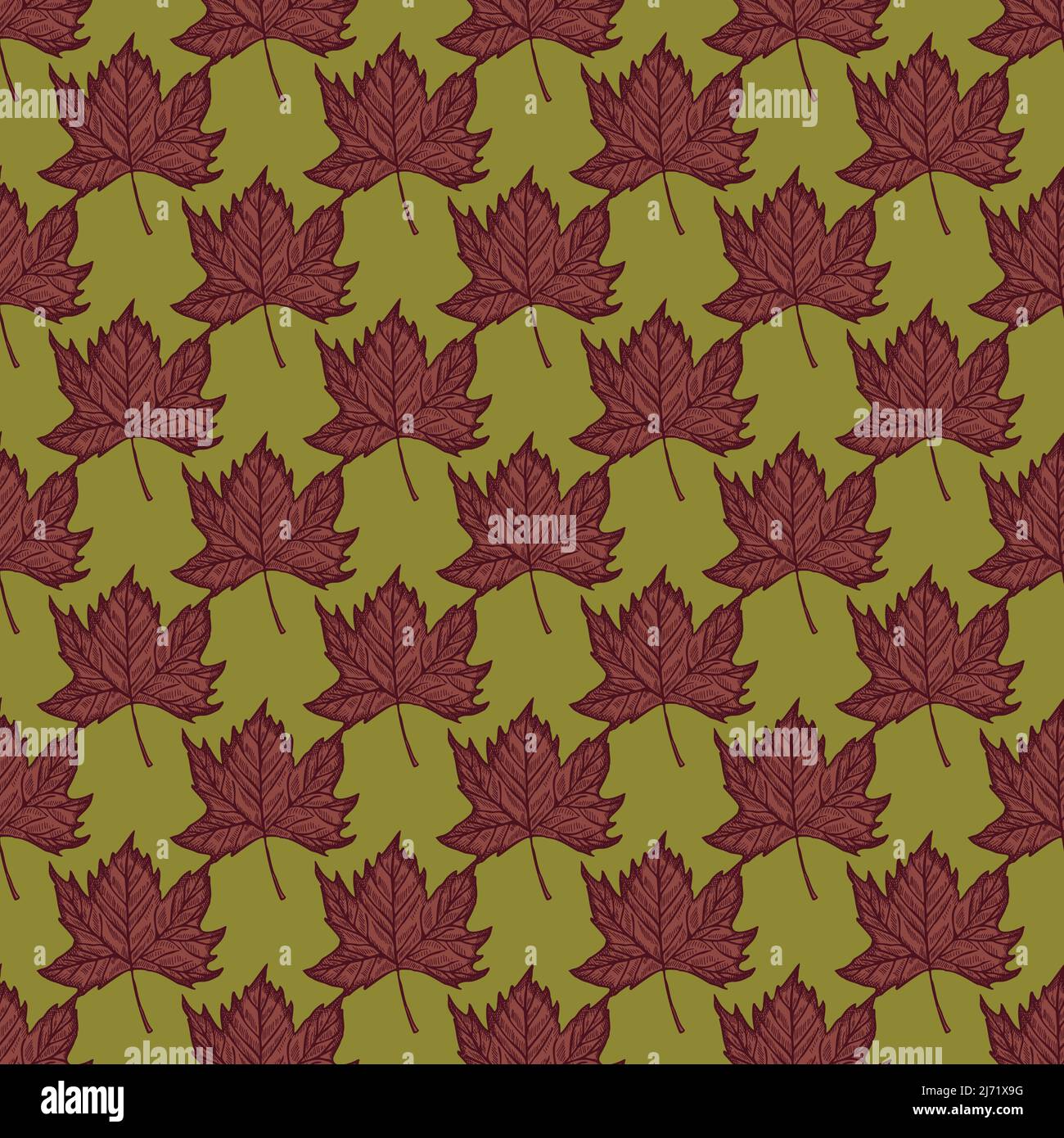 Leaves maple engraved seamless pattern. Vintage background botanical with canadian foliage in ...