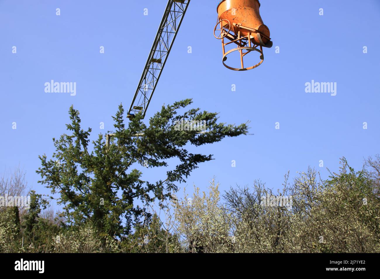 The boom of a construction crane snaps the top of a tree Stock Photo ...