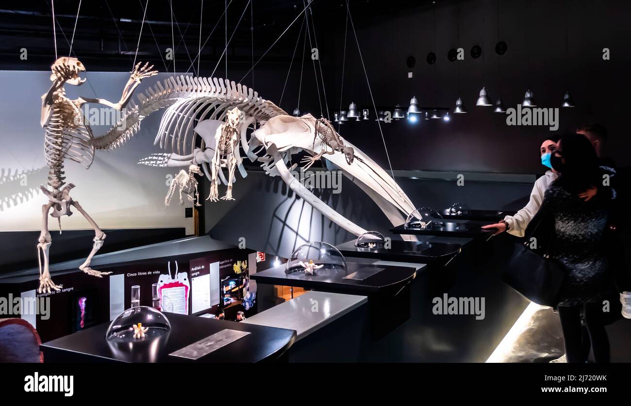 Granada science park museum hi-res stock photography and images - Alamy