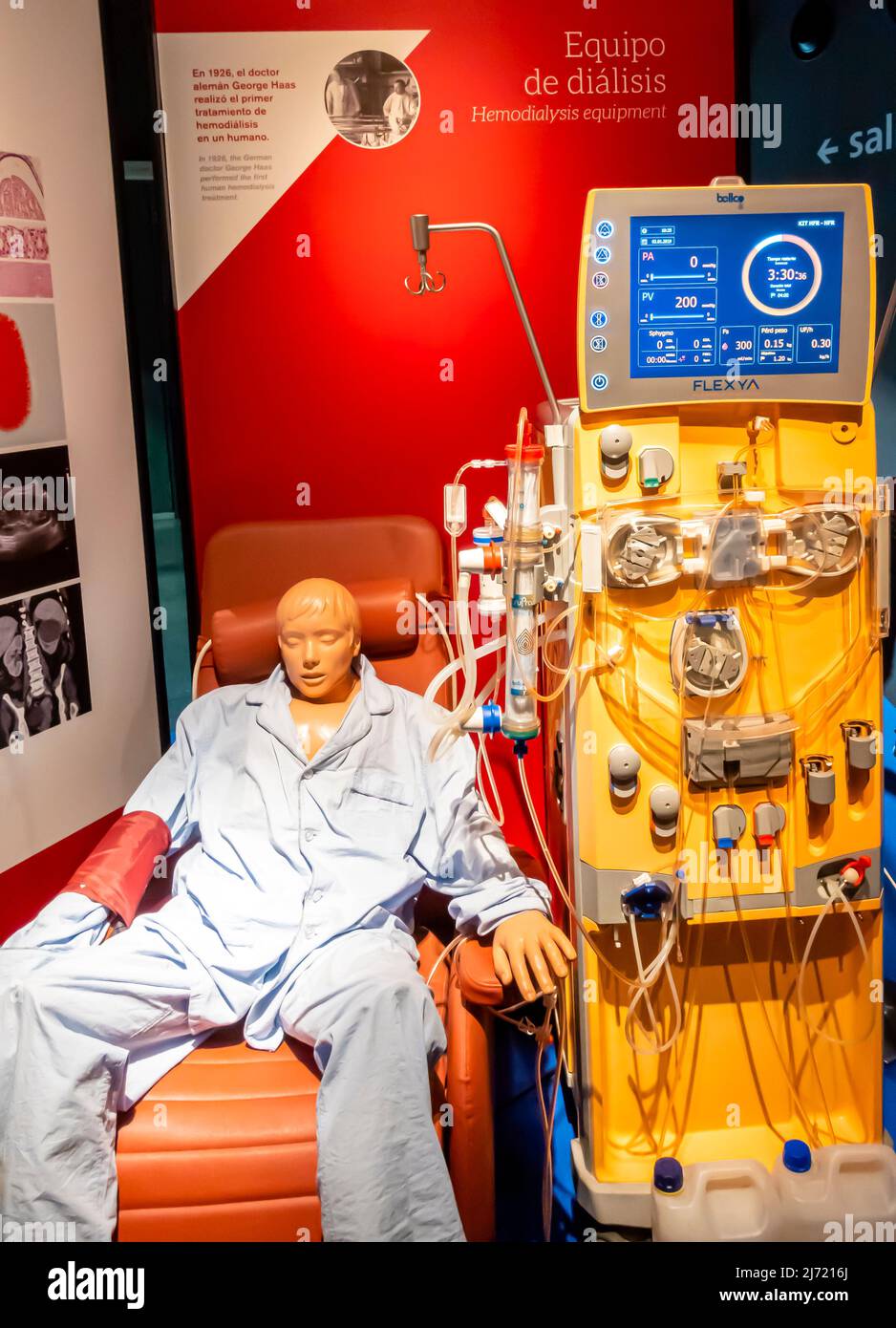 Kidney kidneys medicine apparatus device devices hi-res stock ...