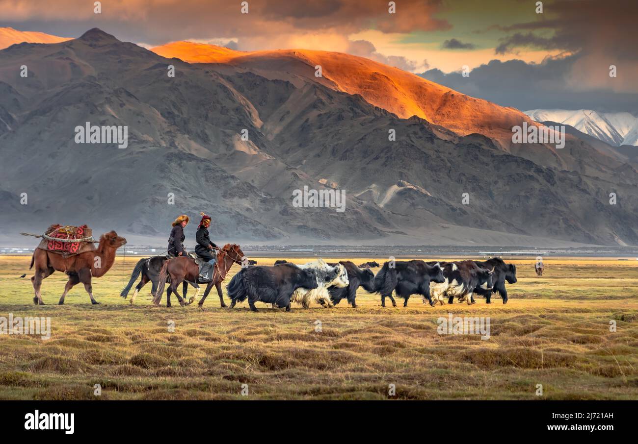 Natural movements of Mongolian nomads. Western Mongolia Stock Photo - Alamy