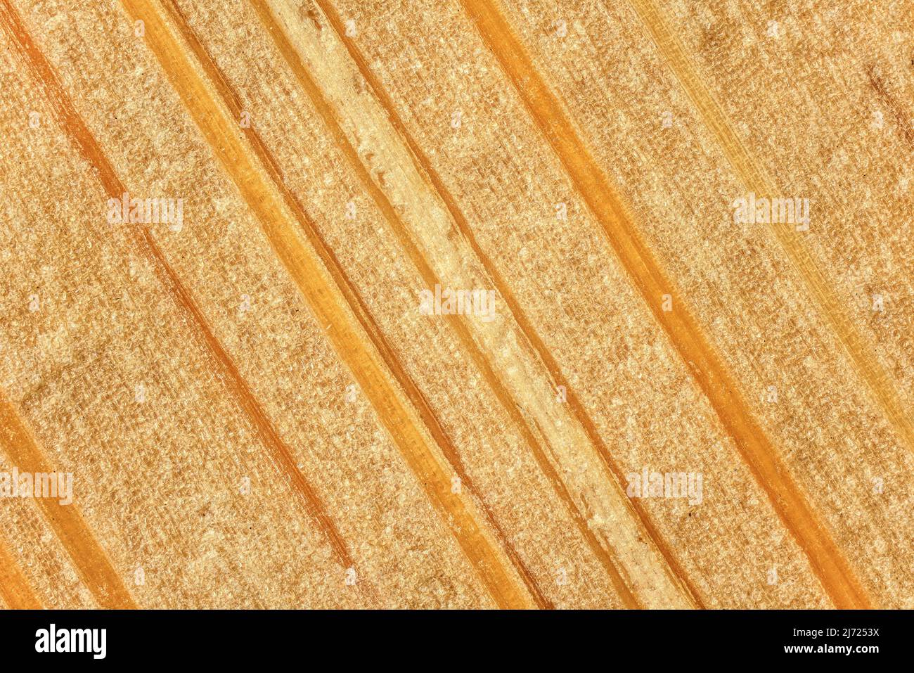 Bamboo wood - actually a grass fibres - structure under 4x ...