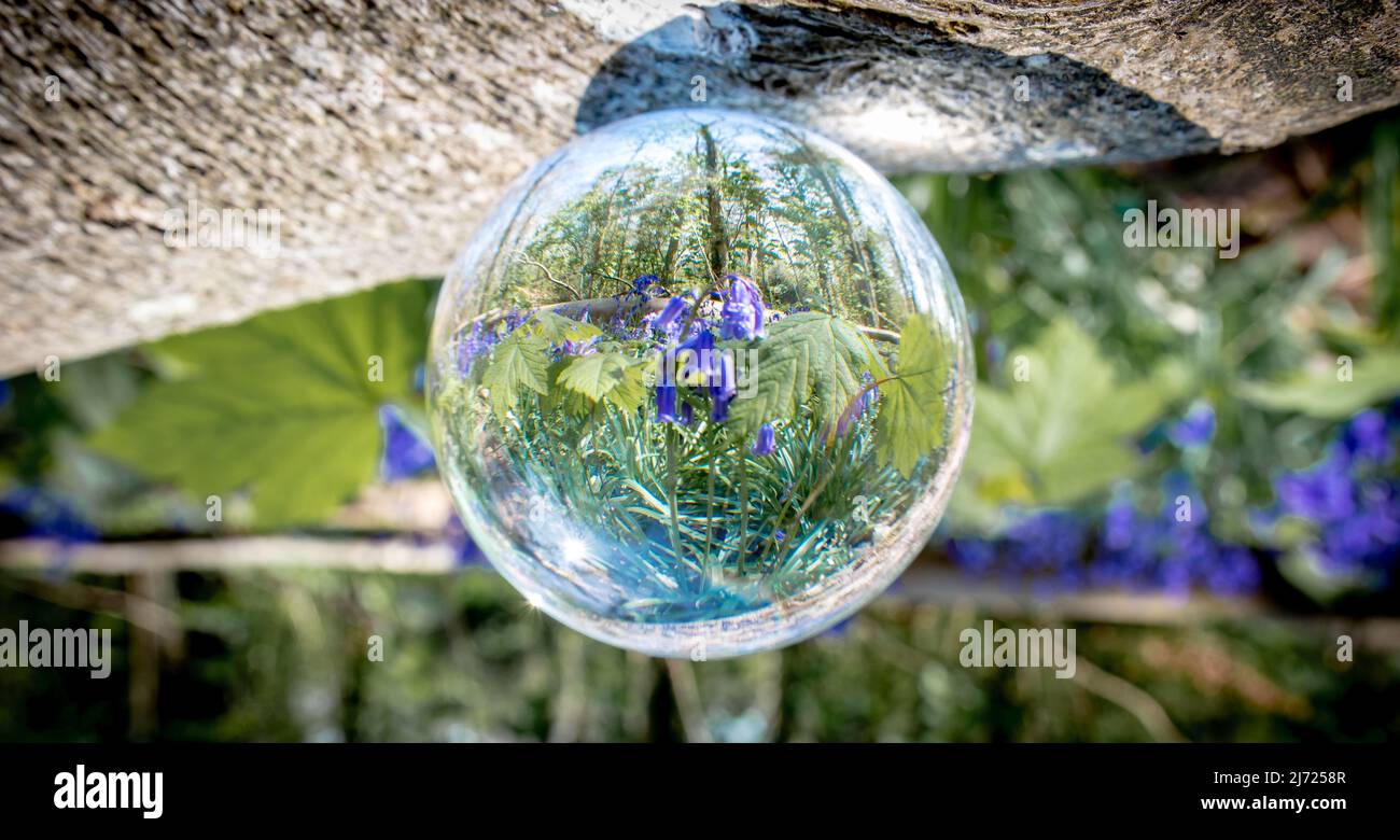Clanfield hampshire hi-res stock photography and images - Alamy