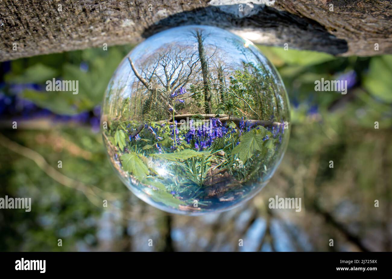 Clanfield hi-res stock photography and images - Alamy
