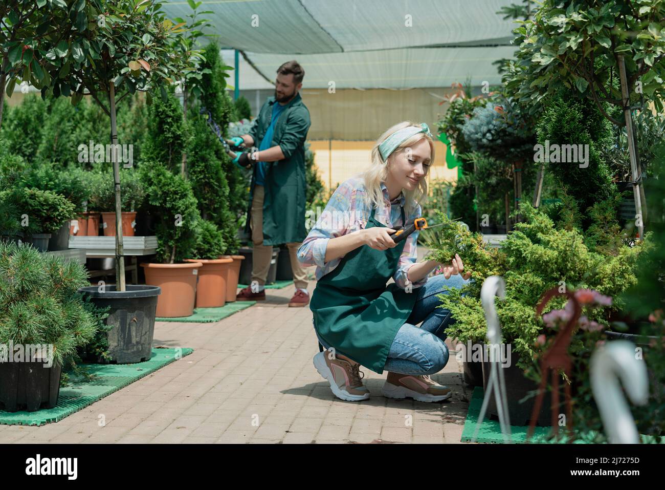 Gardeners work in modern nursery plant store in greenhouse Stock Photo ...