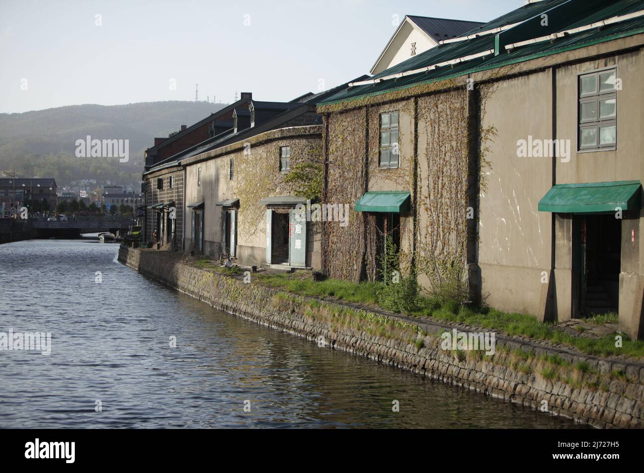 sapporo otaru japan bird Stock Photo - Alamy