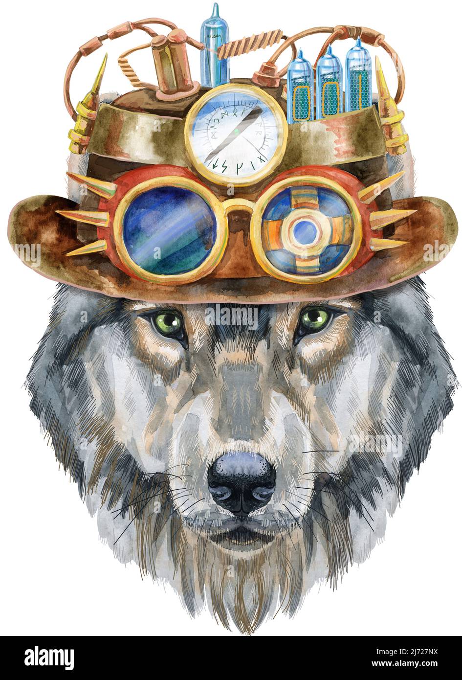 Wolf portrait in steampunk hat with googles. Watercolor gray wolf ...