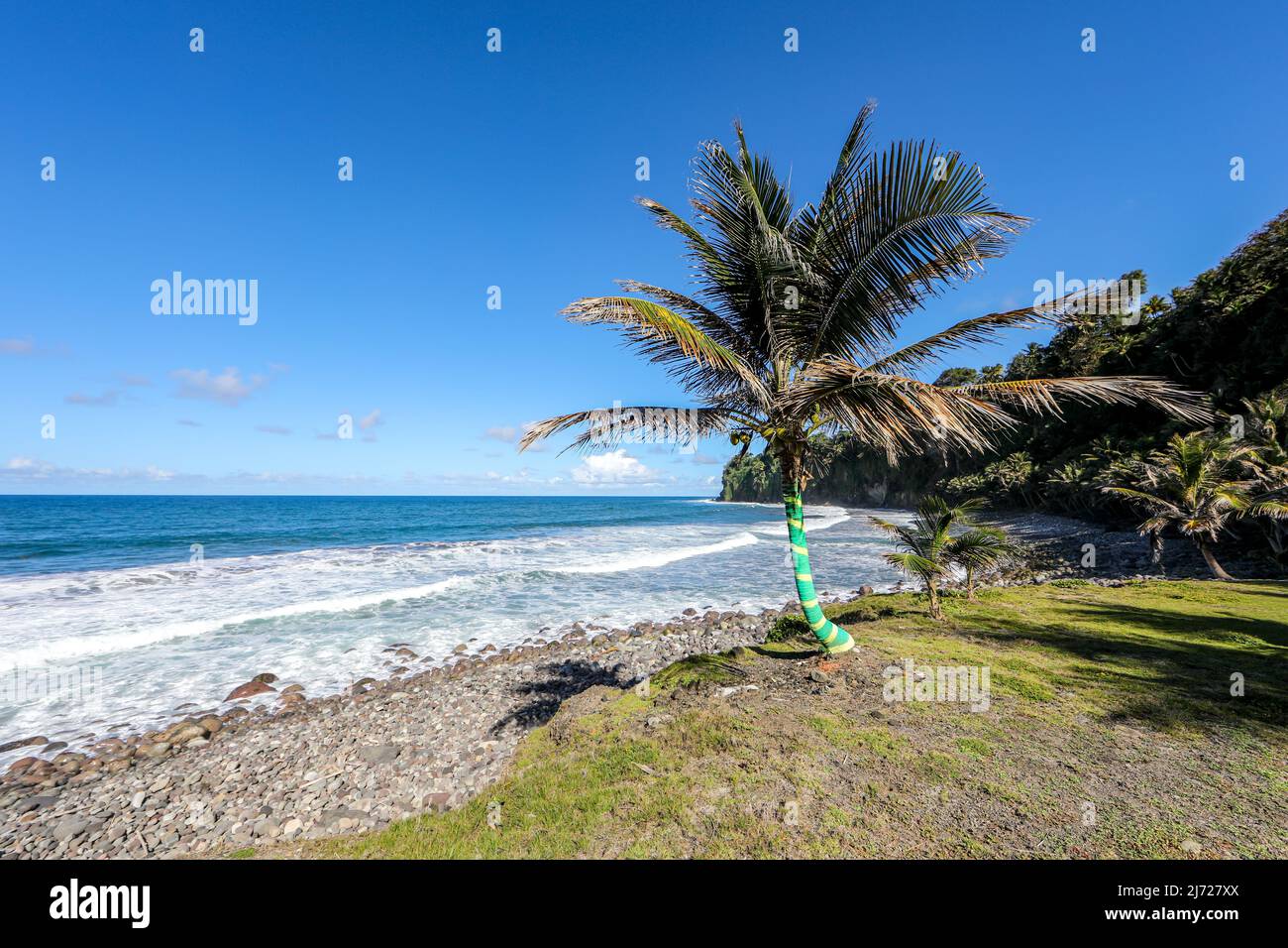 Nord-Plage beach - Macouba, Martinique, French Antilles Stock Photo - Alamy