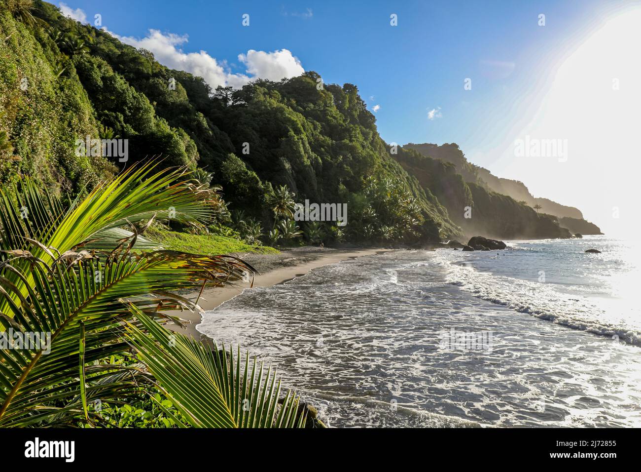 Grand riviere martinique hi-res stock photography and images - Alamy