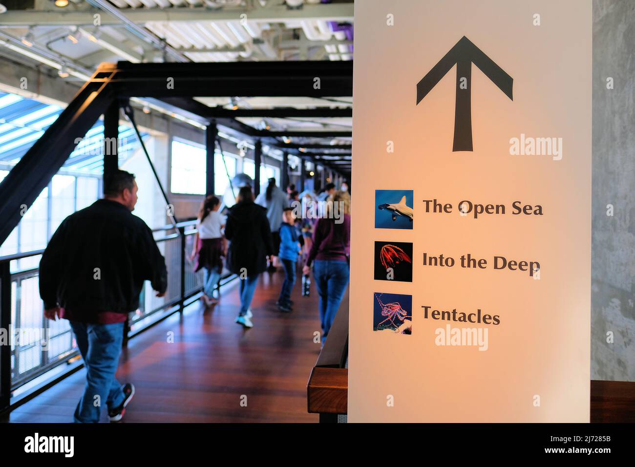 Sign pointing visitors in the direction of the Open Sea, Into the Deep ...