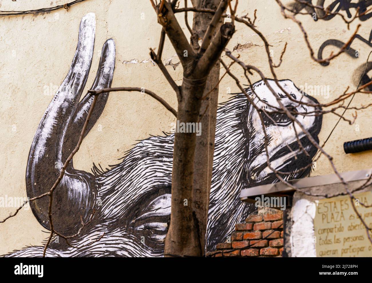 Donkey horn mural hi-res stock photography and images - Alamy