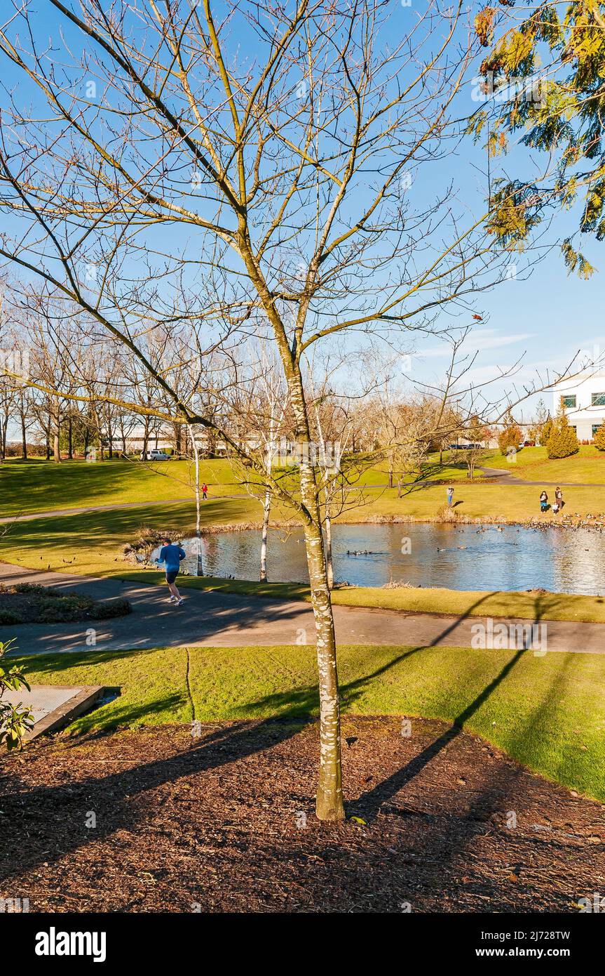 Duck Pond Park behind the Hillsboro Brookwood Public Library in ...