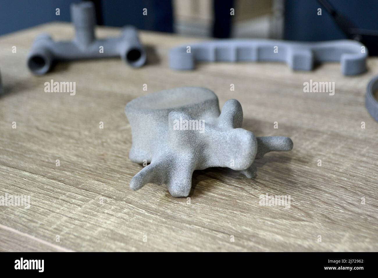Prototype human spine bone printed on 3D printer. Model printed on 3D ...