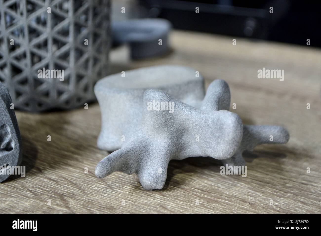 Prototype human spine bone printed on 3D printer. Model printed on 3D ...