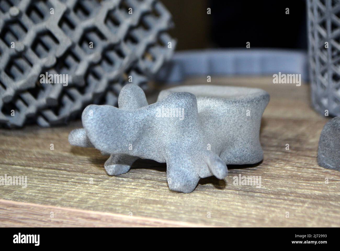 Prototype human spine bone printed on 3D printer. Model printed on 3D ...
