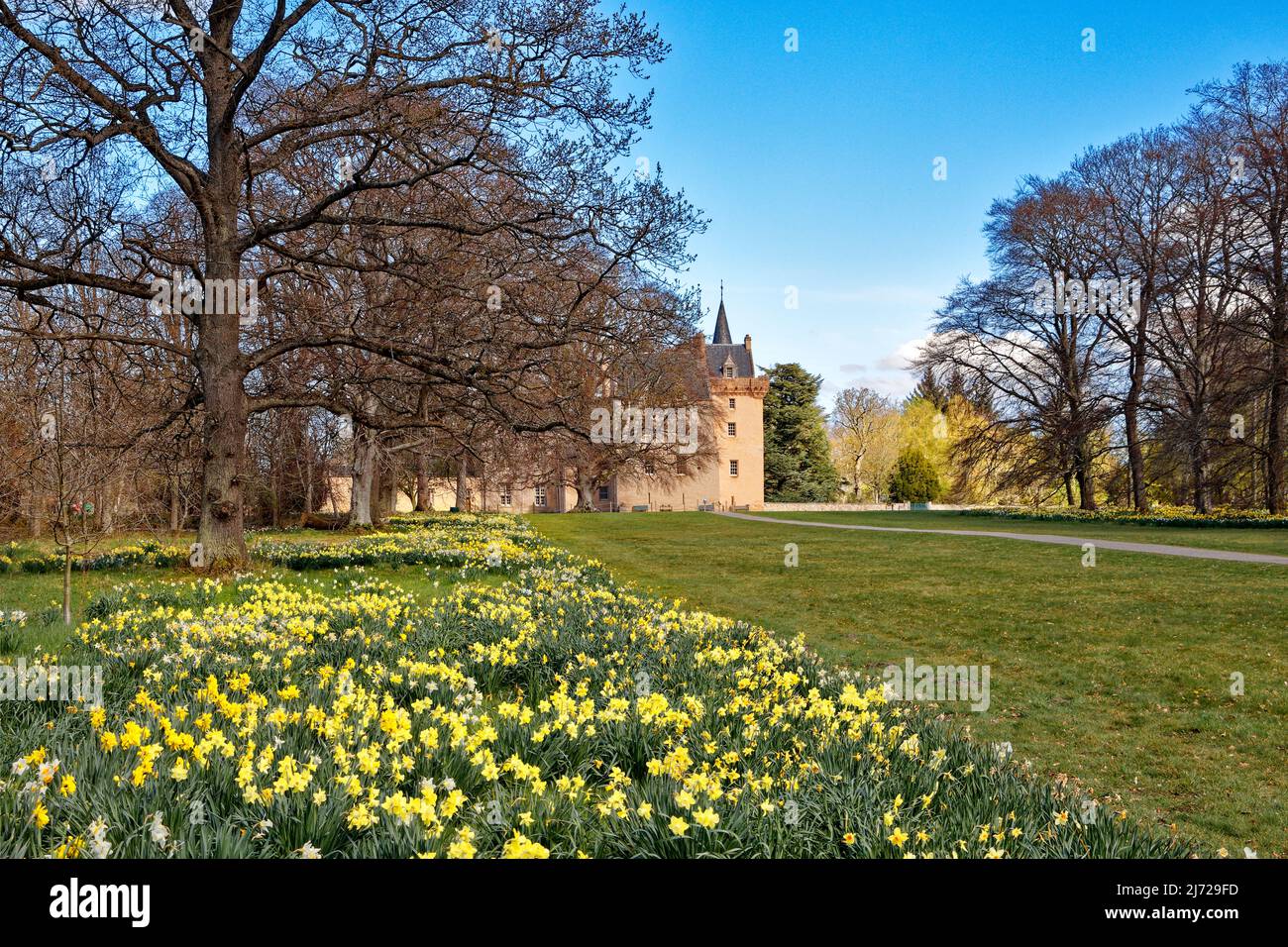 BRODIE CASTLE FORRES MORAY SCOTLAND CASTLE IN EARLY SPRING A ...