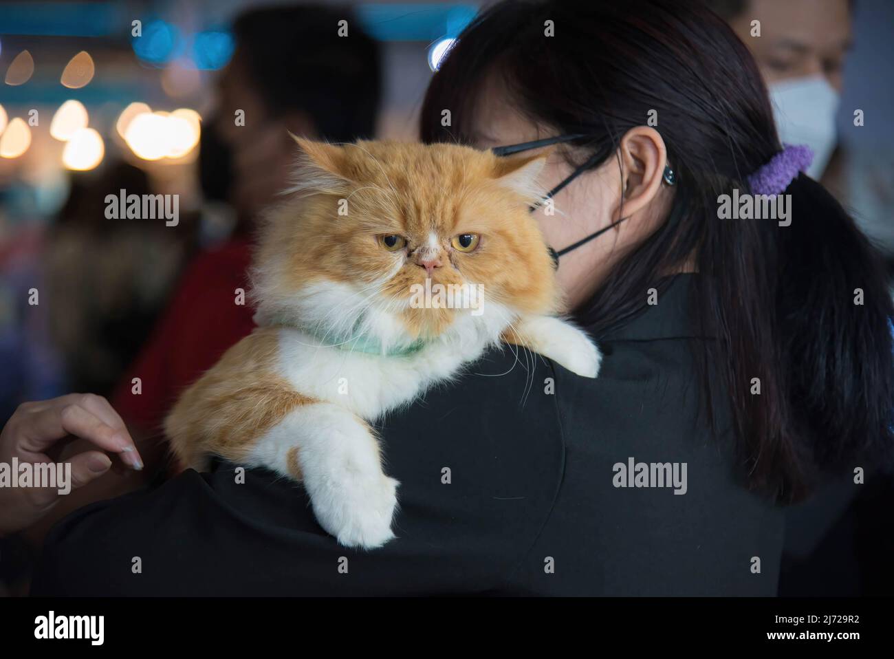 A woman carries her cat during the Pet Expo Thailand. Pet Expo Thailand ...